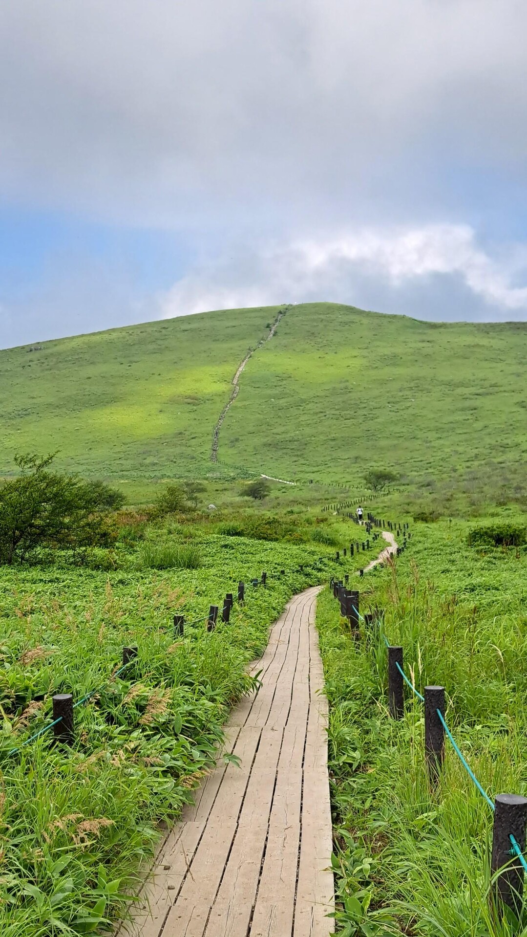 霧ヶ峰（車山）・蝶々深山 / str_0307さんの霧ヶ峰・車山・大笹峰の活動日記 | YAMAP / ヤマップ