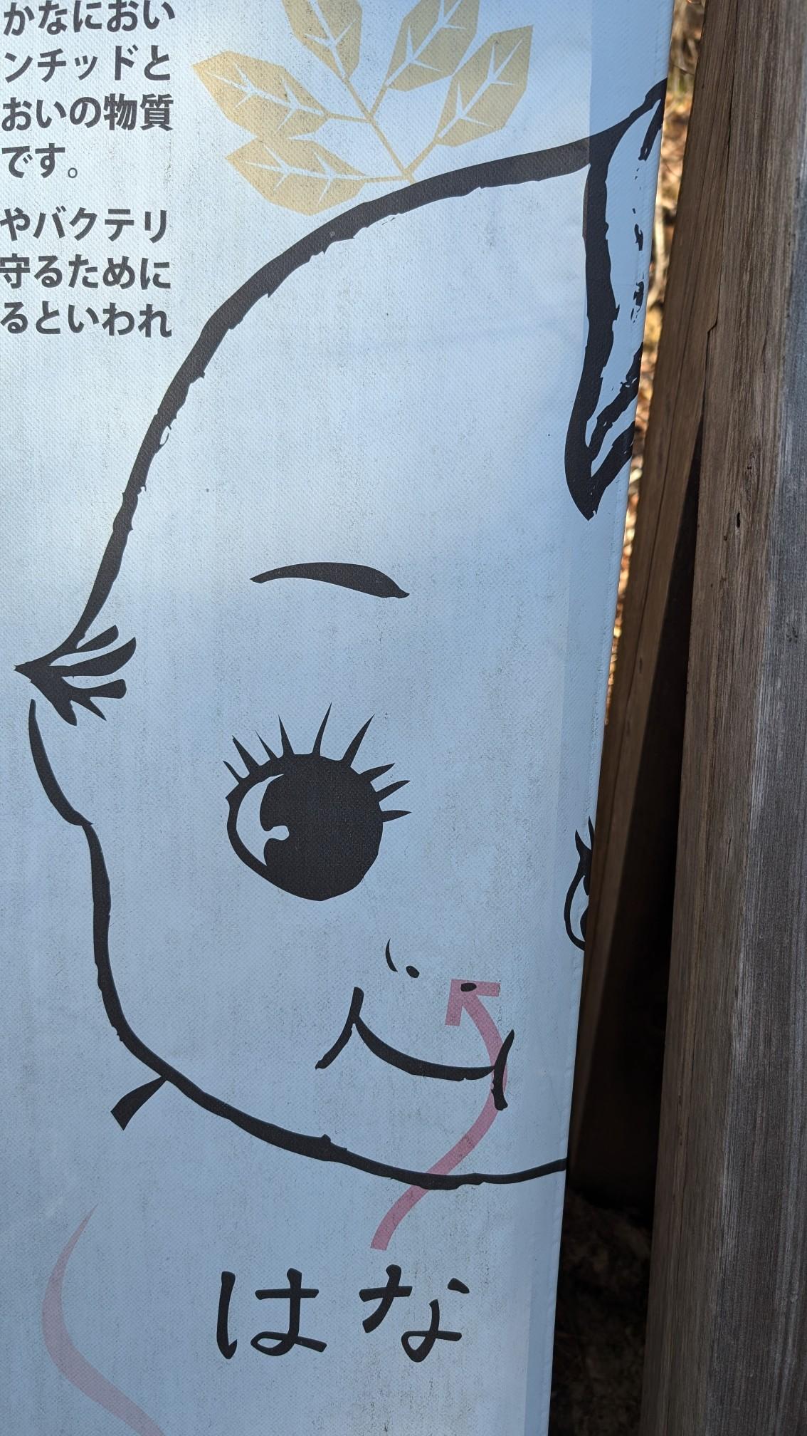 上野原でPeakハント(根本山→坊主山→保福寺山→秋葉山→八重山→能岳→虎丸)からの酒ランチ / toshiさんの八重山・能岳・聖武連山・要害山の活動データ | YAMAP / ヤマップ