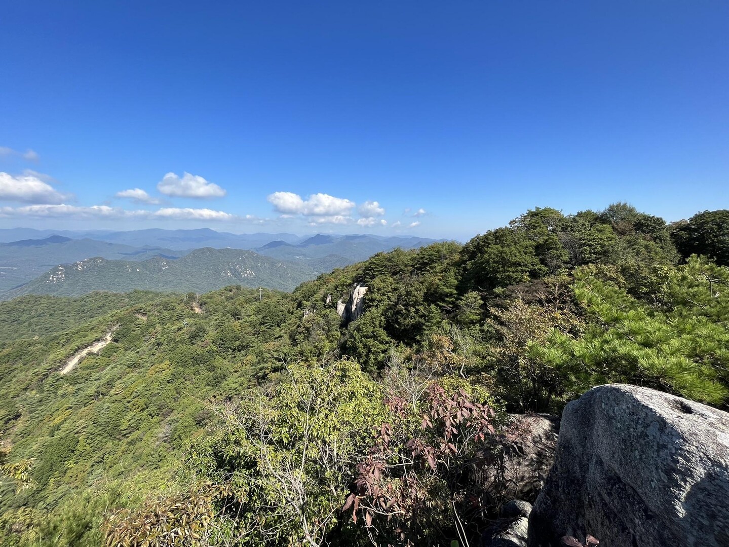 おかわり傘山ブルー / Sueさんさんの行者山・傘山・忠四郎山の活動日記 | YAMAP / ヤマップ