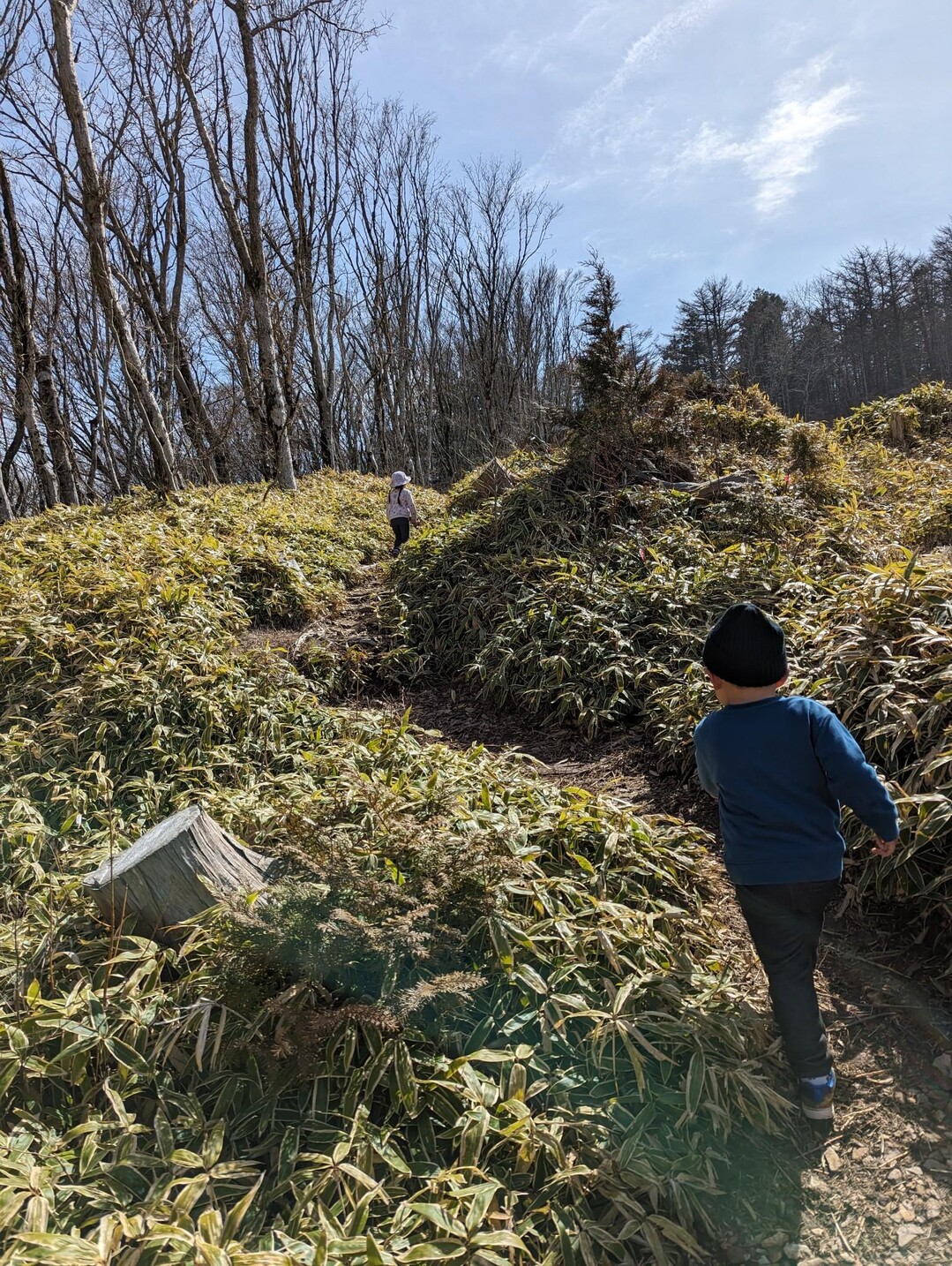 【子連れ登山】皿ヶ嶺 2024-03-30 / k_nakaさんの皿ヶ嶺・梅ヶ谷山・うなめごの活動データ | YAMAP / ヤマップ