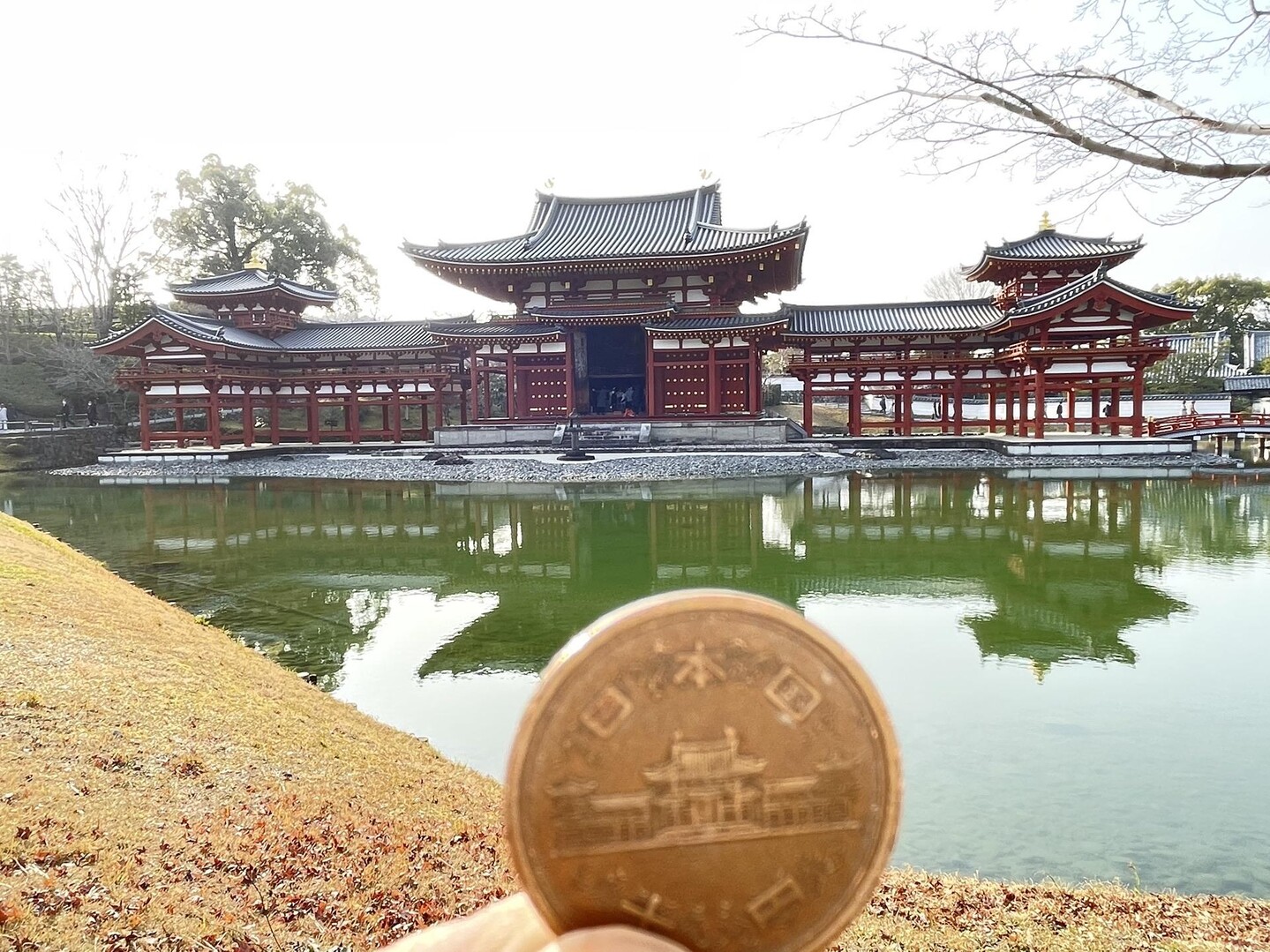 平等院 阿弥陀如来像が素晴らしい！ / brocken_sさんのモーメント | YAMAP / ヤマップ