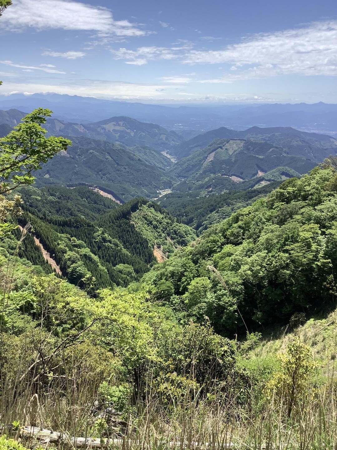 岳滅鬼岳・岳滅鬼山 / a24さんの英彦山の活動データ | YAMAP / ヤマップ
