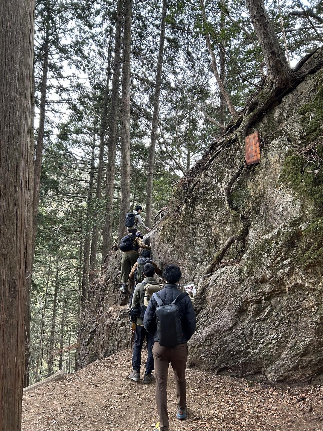 御岳山 / terumiさんの大岳山・御岳山・御前山の活動データ | YAMAP / ヤマップ