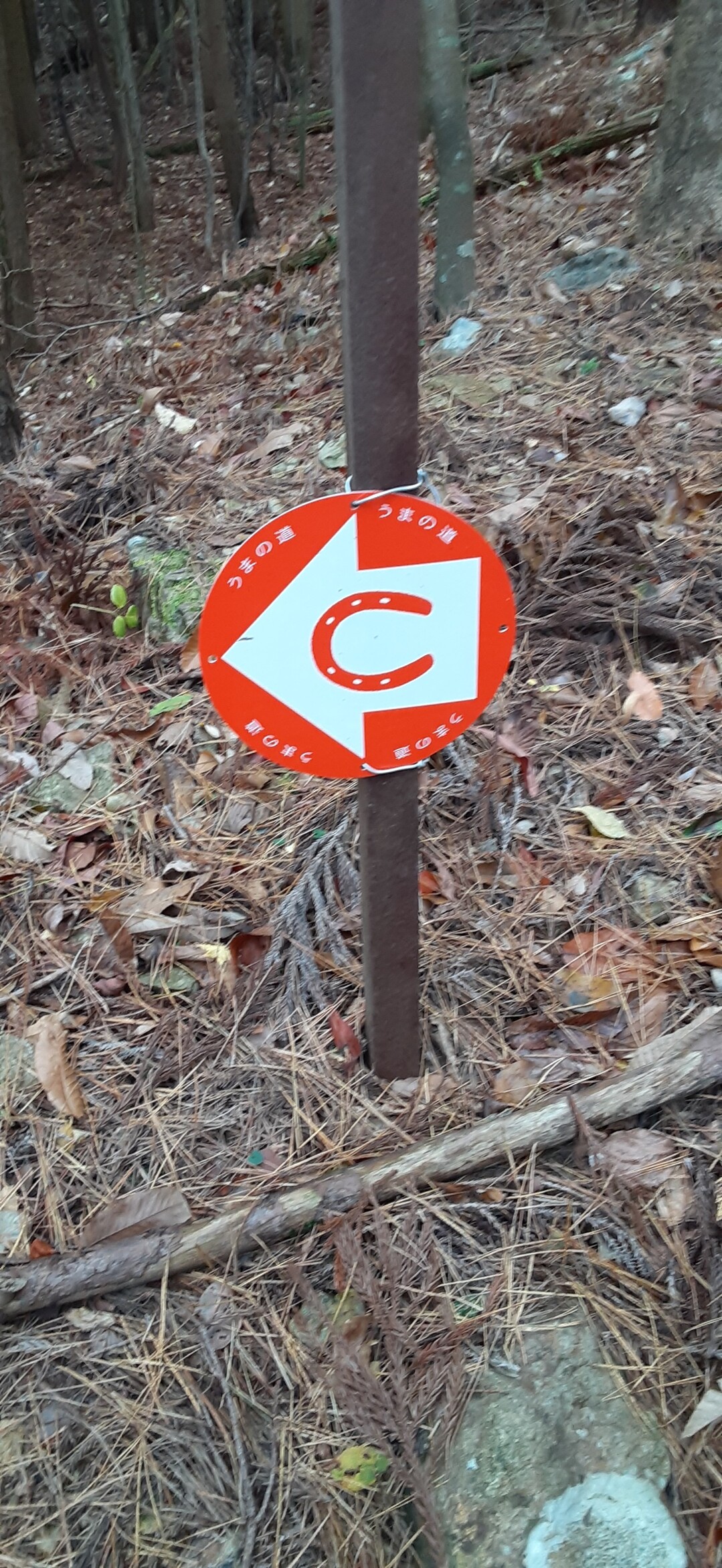 Shinさんの投稿したフィールドメモ | YAMAP / ヤマップ