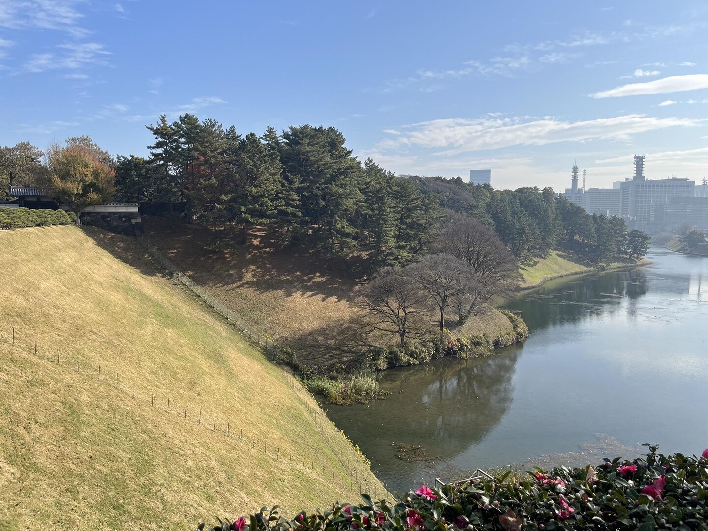 12/16皇居ラン♪ 久々に行ってきまし... / ふーちゃんさんのモーメント | YAMAP / ヤマップ