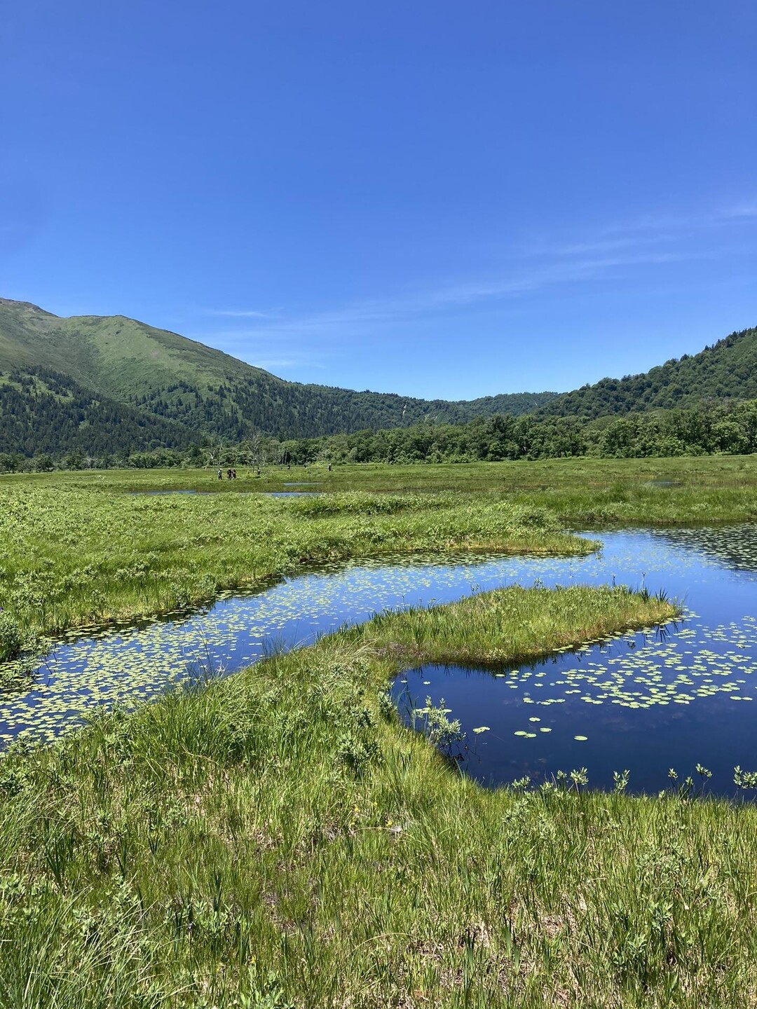 尾瀬・燧ヶ岳-2024-07-07 / kさんの尾瀬・燧ヶ岳の活動データ | YAMAP / ヤマップ