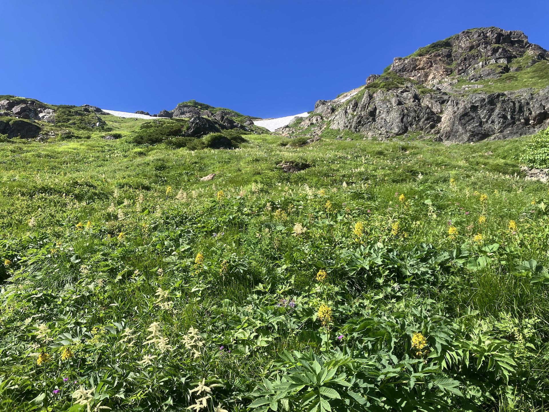 雪倉岳・白馬岳・小蓮華山（大日岳）・船越の頭 / JunJunさんの雪倉岳・朝日岳・風吹岳の活動データ | YAMAP / ヤマップ