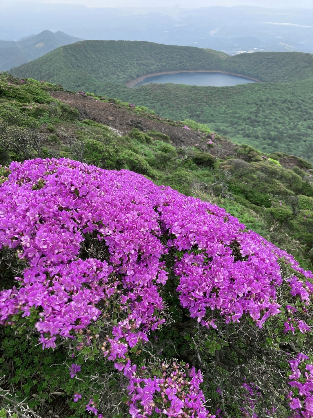 韓国岳（霧島山） / kaoさんの霧島山・韓国岳・高千穂峰・夷守岳・烏帽子岳の活動データ | YAMAP / ヤマップ