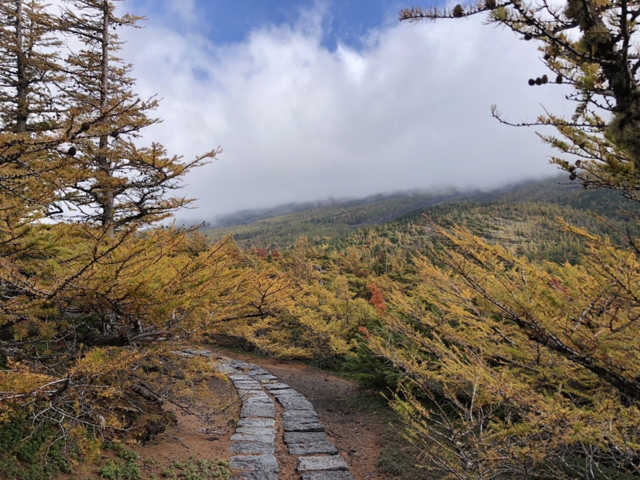 富士山奥庭・5合目に行きました！ カラマ... / あさかさんのモーメント | YAMAP / ヤマップ
