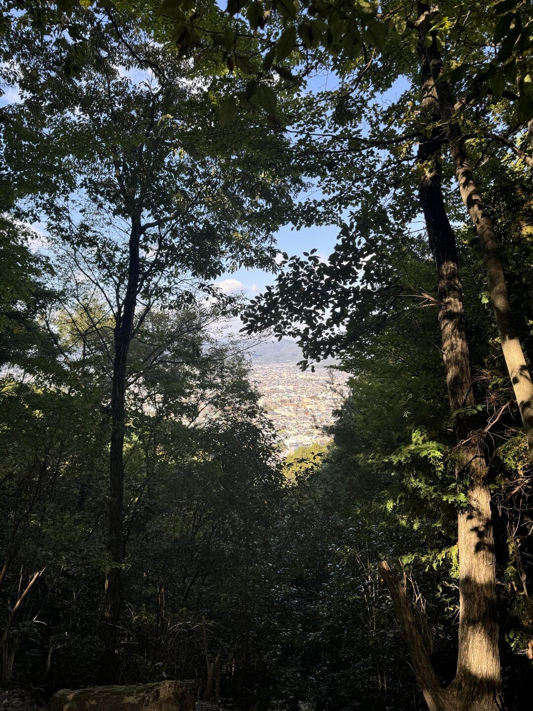 茶山・瓜生山 / 105sunさんの京都一周トレイルの活動データ | YAMAP / ヤマップ