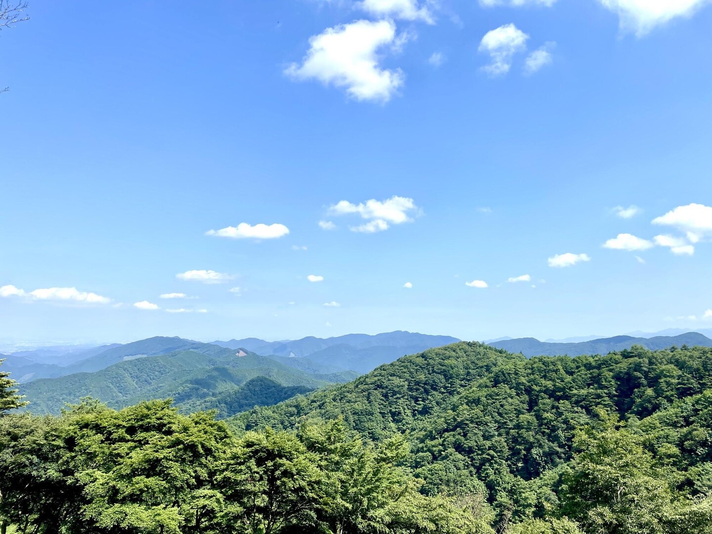 ハチザス沢ノ頭・大沢山・三頭山（西峰）・三頭山（中央峰）・三頭山（東峰） / shot.7898さんの三頭山・槇寄山・土俵岳の活動データ | YAMAP / ヤマップ