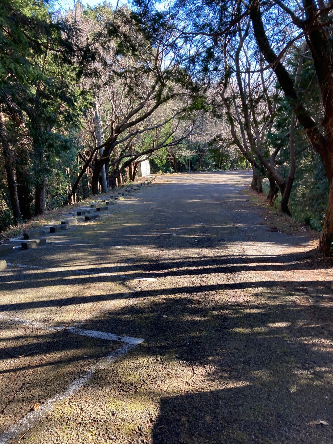 Tigerさんの投稿したフィールドメモ | YAMAP / ヤマップ