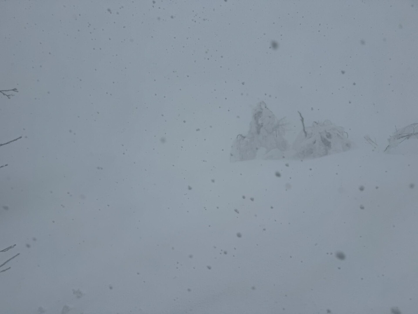 五頭山 ホワイトアウト！爆風ー！腰まで埋まって撤退ー。 / Stratoさんの五頭山・菱ヶ岳・宝珠山の活動データ | YAMAP / ヤマップ