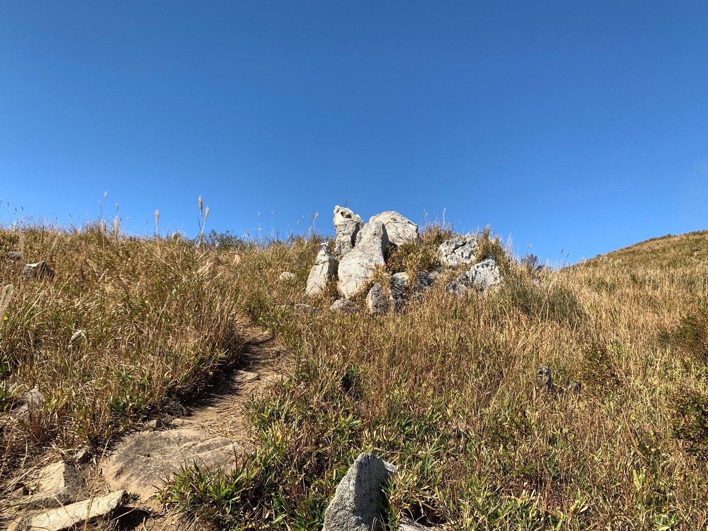 目白鍾乳洞から四方台往復 / カンさんの平尾台・貫山・水晶山の活動データ | YAMAP / ヤマップ