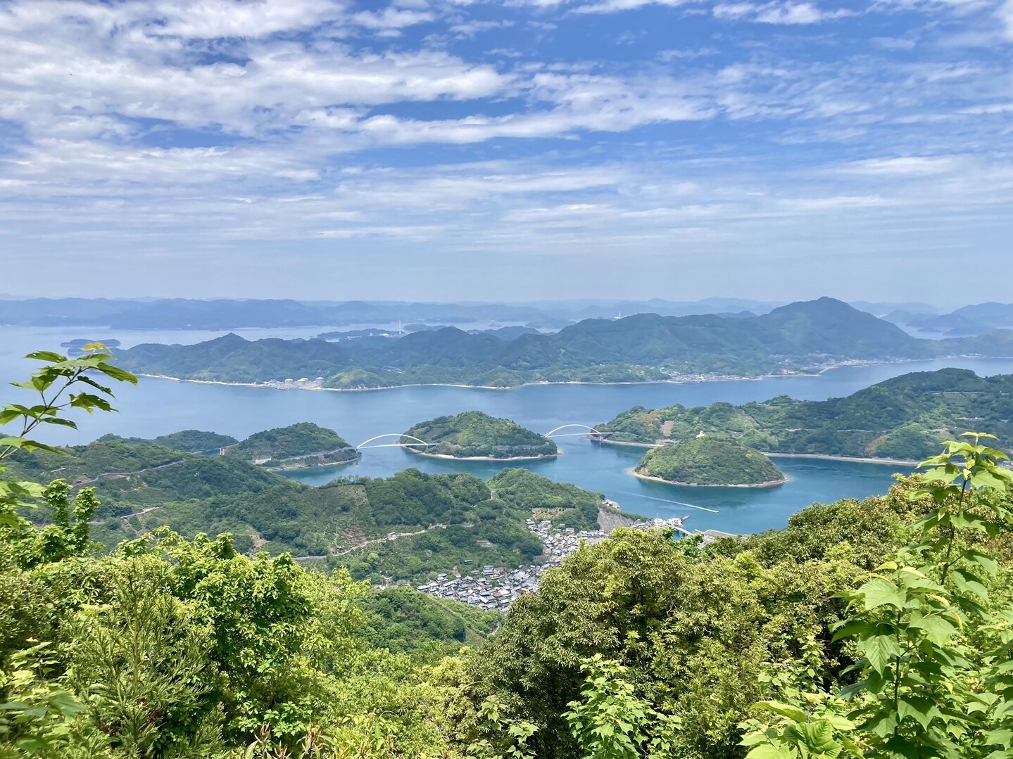 初めての島山🌴一峰寺山 / yutaさんの上蒲刈島の活動データ | YAMAP / ヤマップ