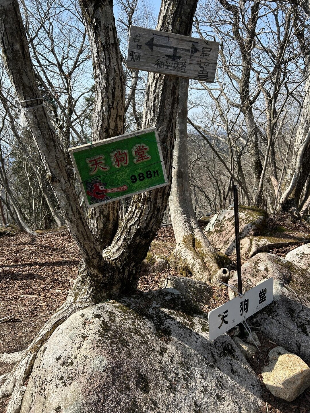 日本コバ・天狗堂 / wakki41さんの日本コバの活動データ | YAMAP / ヤマップ