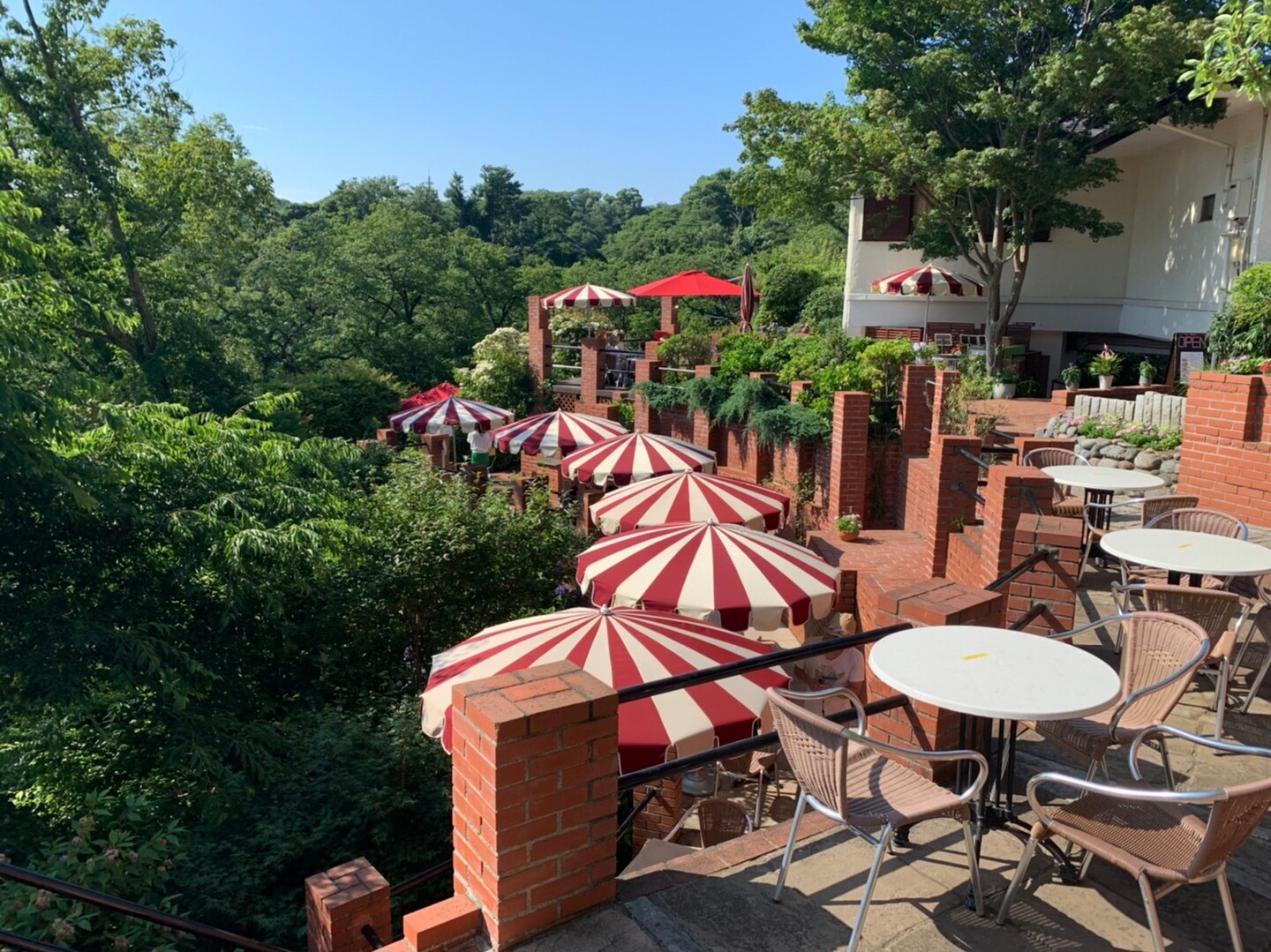 鎌倉の大仏ハイキングコースの途中に忽然と... / スージーさんのモーメント | YAMAP / ヤマップ