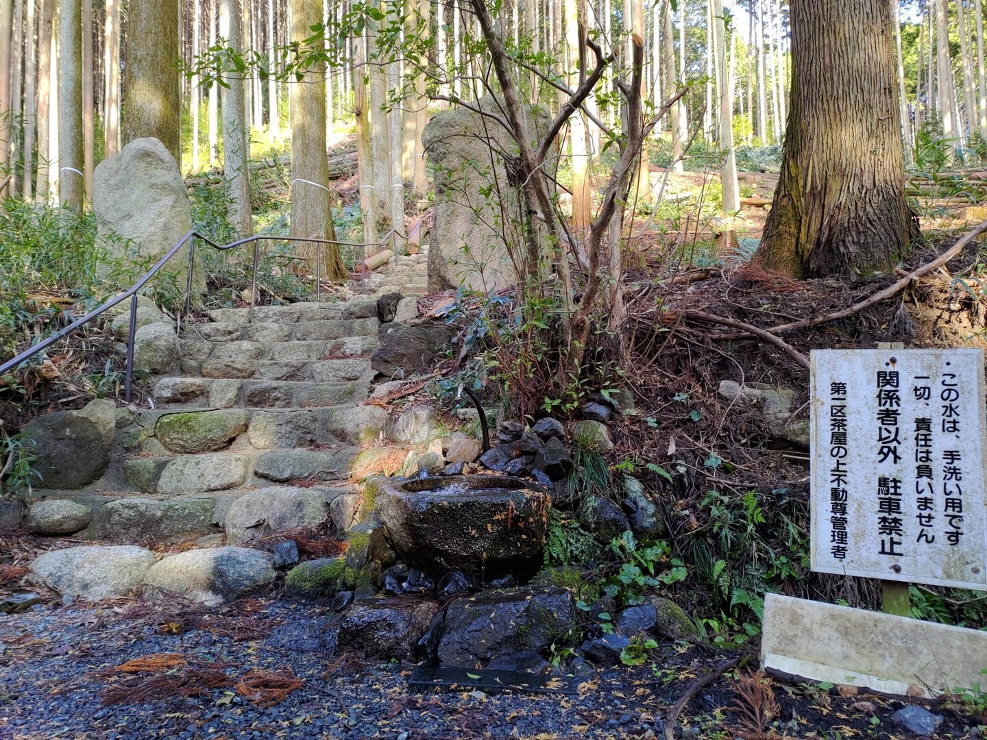 solaさんの投稿したフィールドメモ | YAMAP / ヤマップ