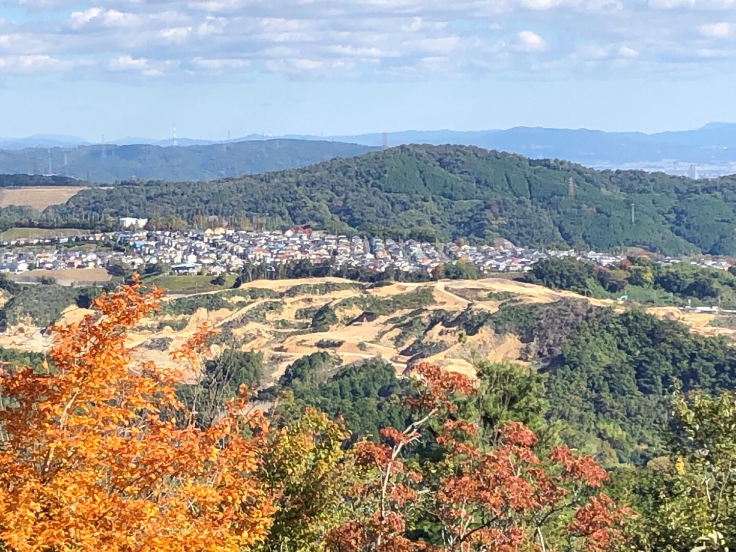 鉢伏山 … 秋の彩都🍁ミニハイク 2022-11-06 / Jyuzaさんの竜王山・阿武山の活動データ | YAMAP / ヤマップ