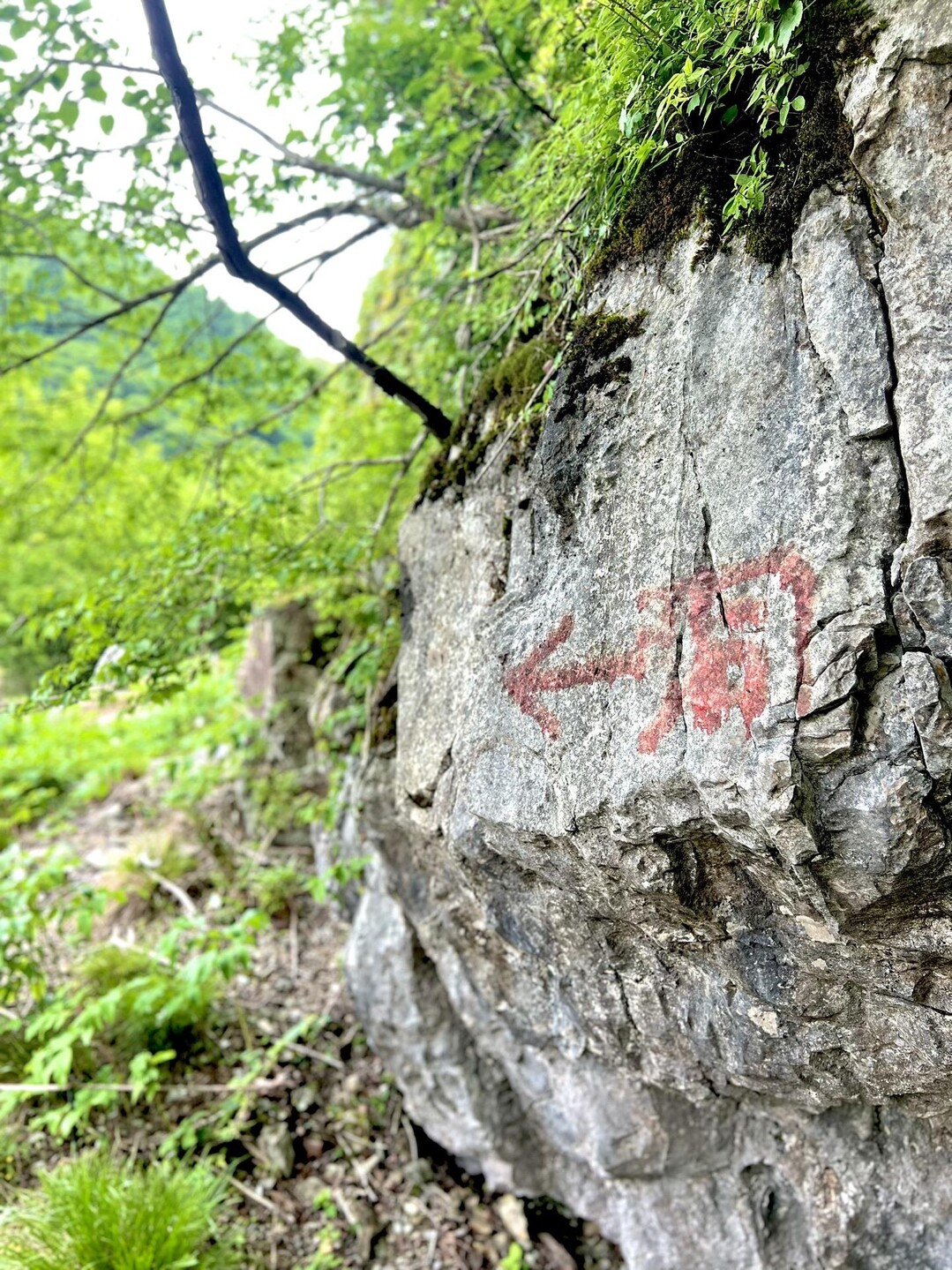日本コバ🔺衣掛山 周回コース（動画あり） / Mt.Gさんの日本コバの活動日記 | YAMAP / ヤマップ