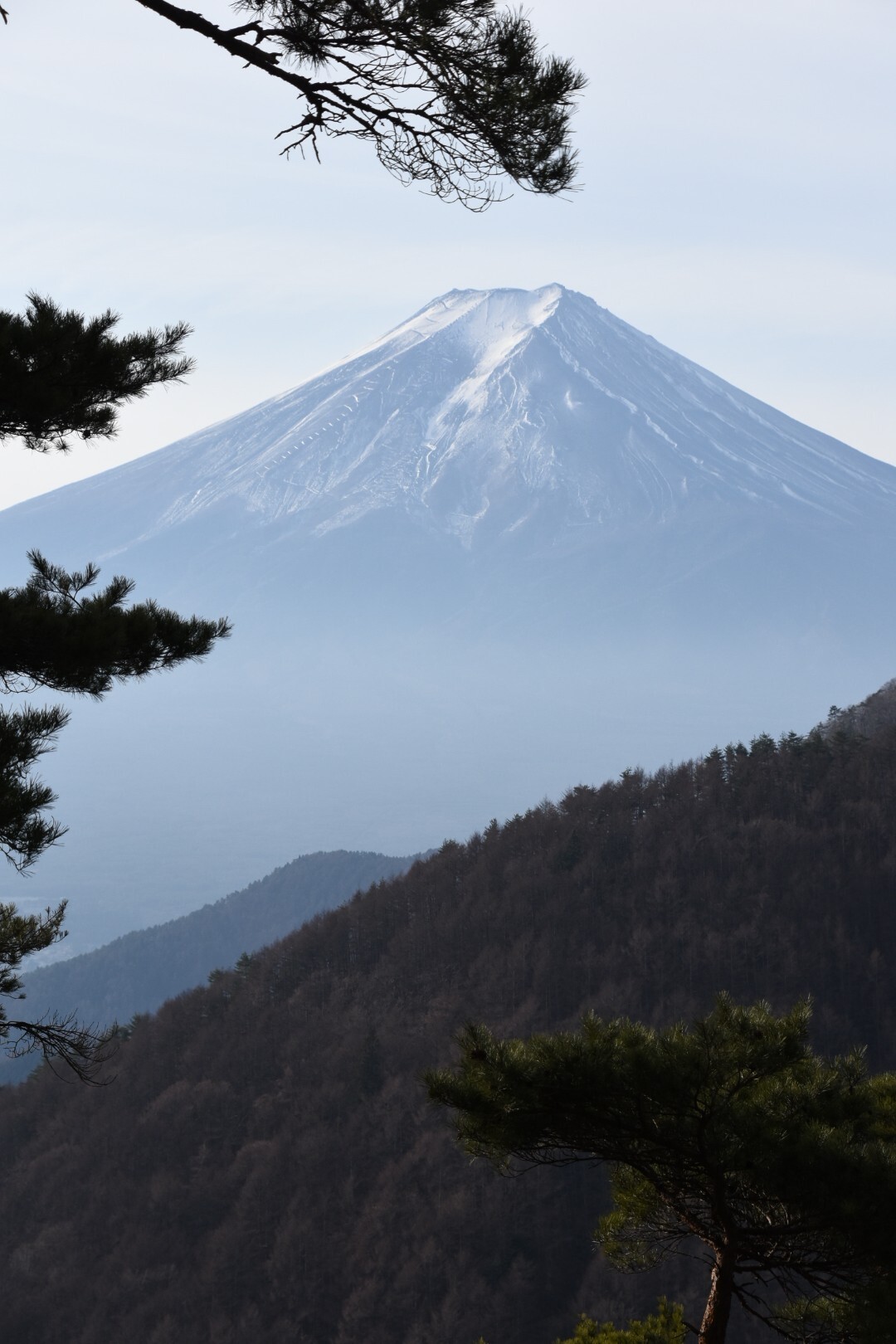 一富士二鷹三茄子。あけましておめでとうご... / bitoonさんのモーメント | YAMAP / ヤマップ