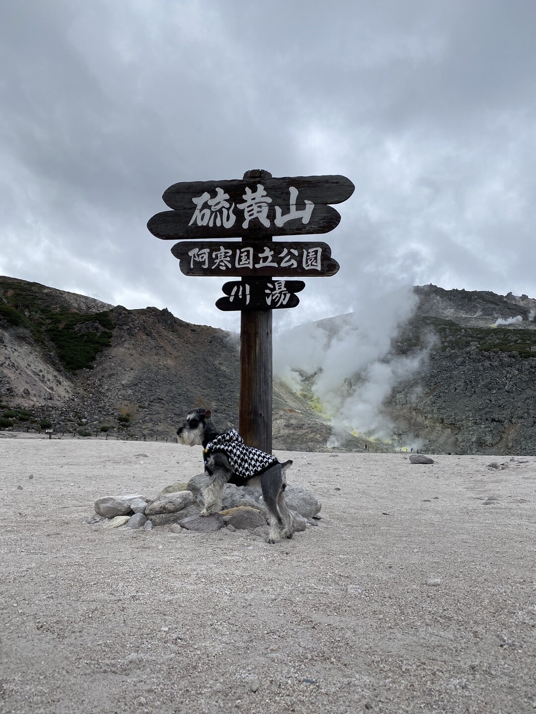 Bii Guun at硫黄山 そして♨... / Bii&Guunさんのモーメント | YAMAP / ヤマップ