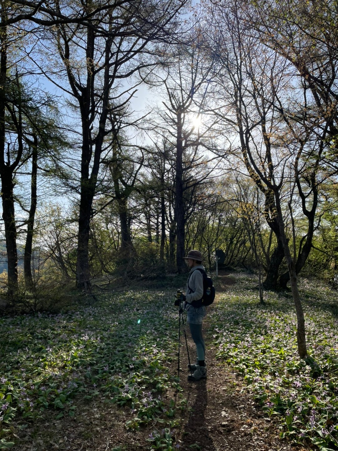 2021/4/24(土) 八石山 コース... / AZU_YUMIさんのモーメント | YAMAP / ヤマップ