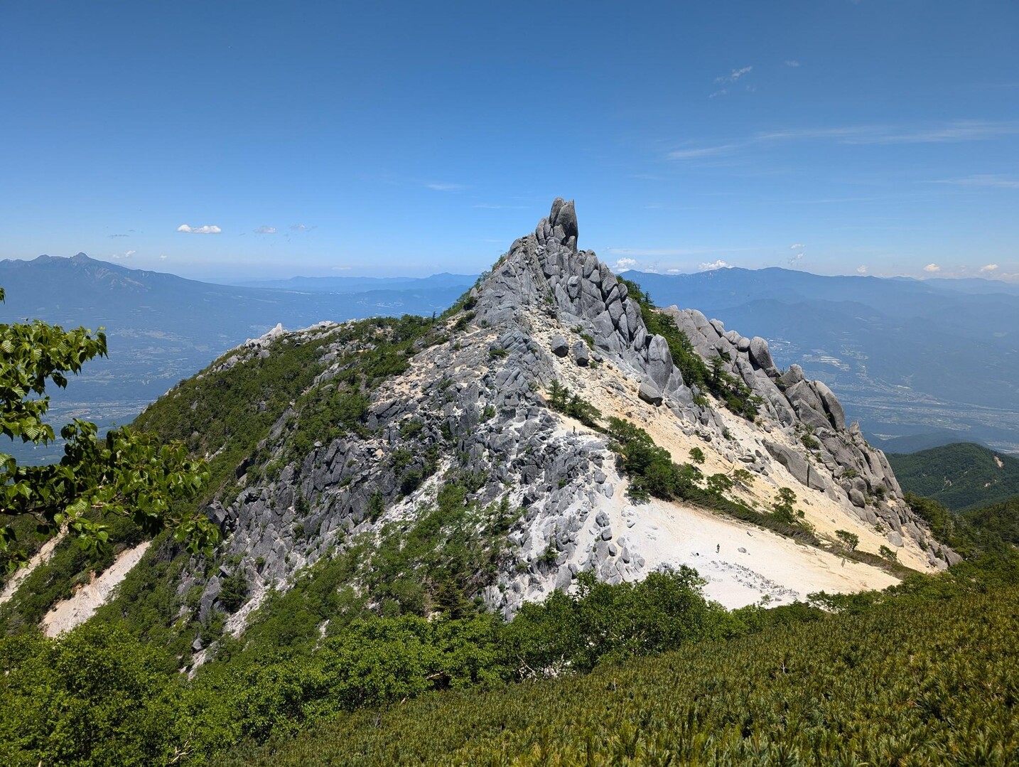 鳳凰三山・高嶺 / se-2さんの鳳凰山・地蔵岳・観音岳・薬師岳の活動データ | YAMAP / ヤマップ