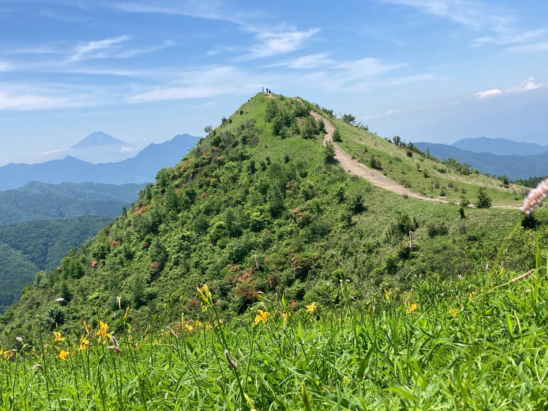 花咲き誇る 平沢山・大盛山・飯盛山 / 103さんの飯盛山の活動データ | YAMAP / ヤマップ