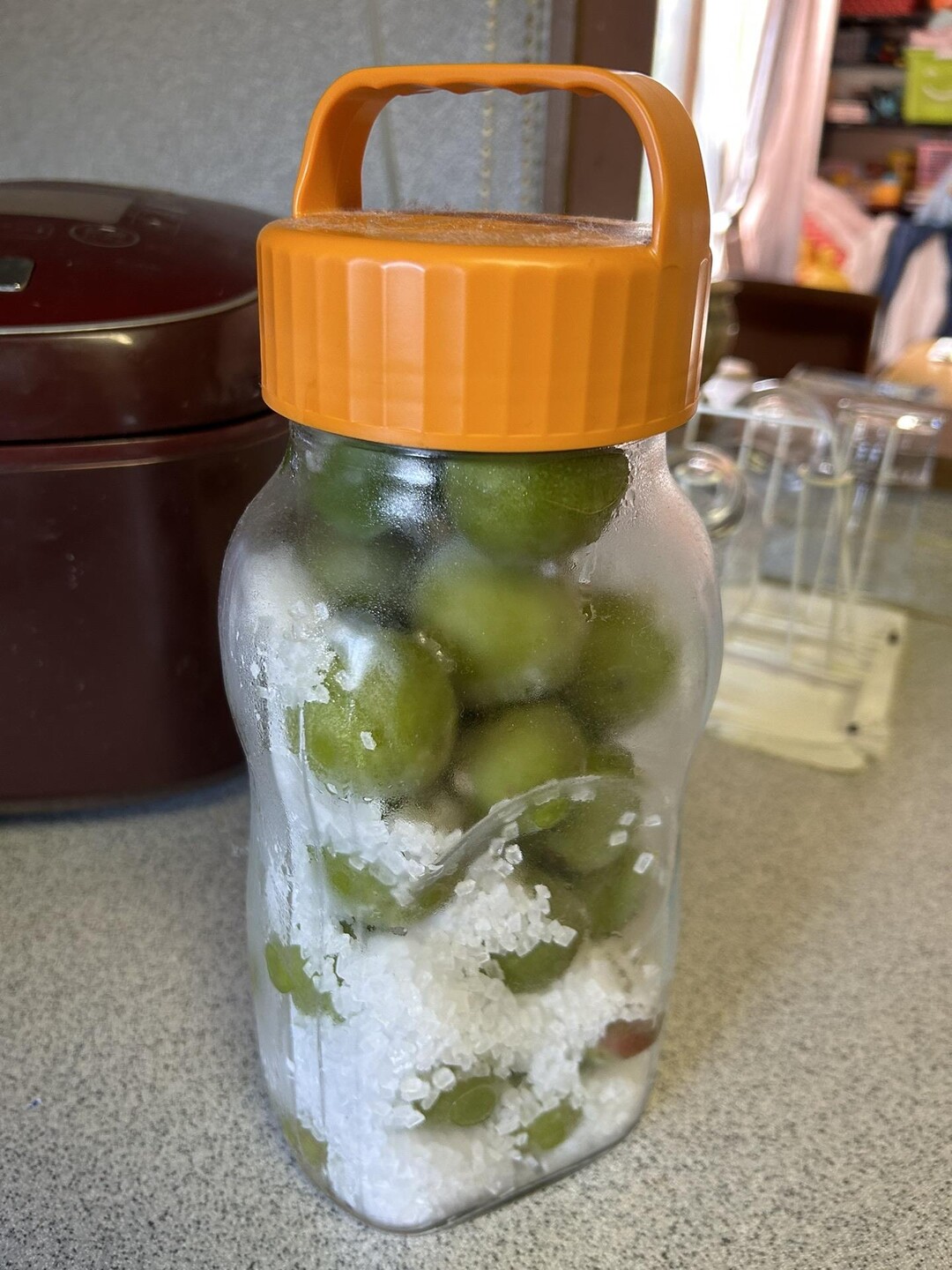 手抜き青梅シロップ作ってみた / nakkoさんのモーメント | YAMAP / ヤマップ