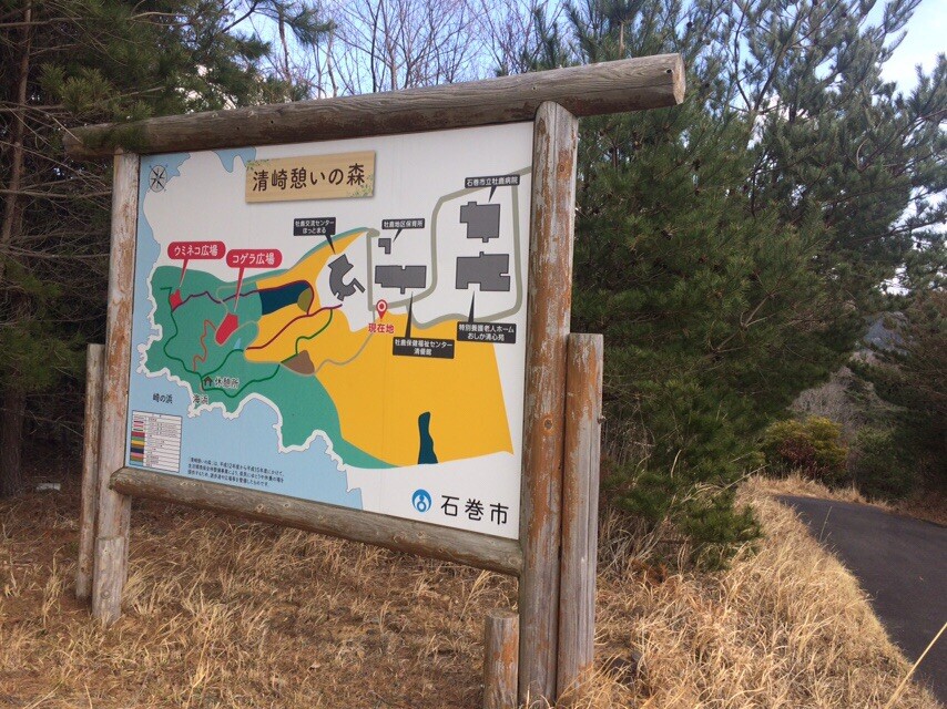 清崎憩いの森 昨日の金華山の帰りに寄っ... / HKさんのモーメント | YAMAP / ヤマップ
