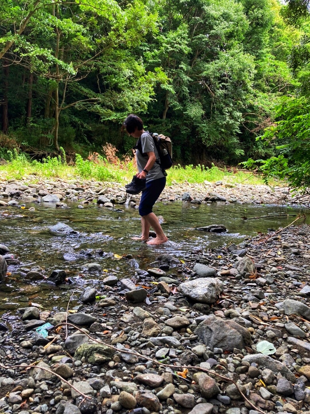 スタンプラリーNo.30 葛葉緑地 / Chacoさんの大山の活動データ | YAMAP / ヤマップ