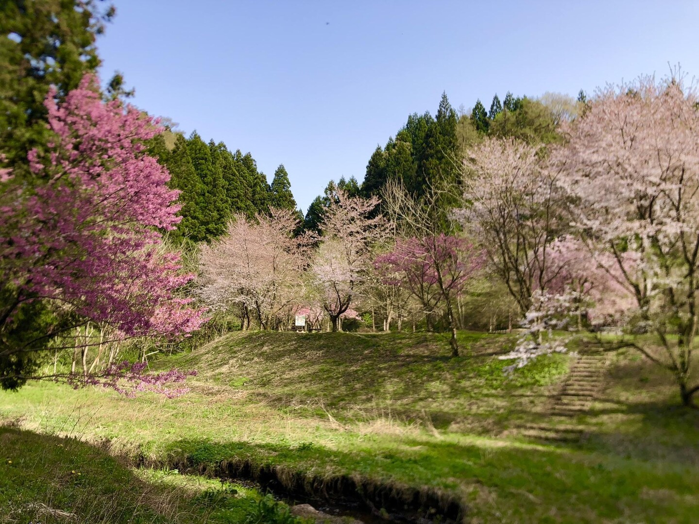 高立山・菩堤寺山 / Naluさんの菩提寺山・高立山・護摩堂山の活動データ | YAMAP / ヤマップ
