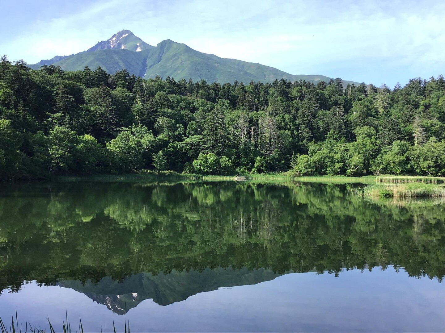 6月下旬に日本最北端の念願の利尻山、礼文... / NANAさんのモーメント | YAMAP / ヤマップ