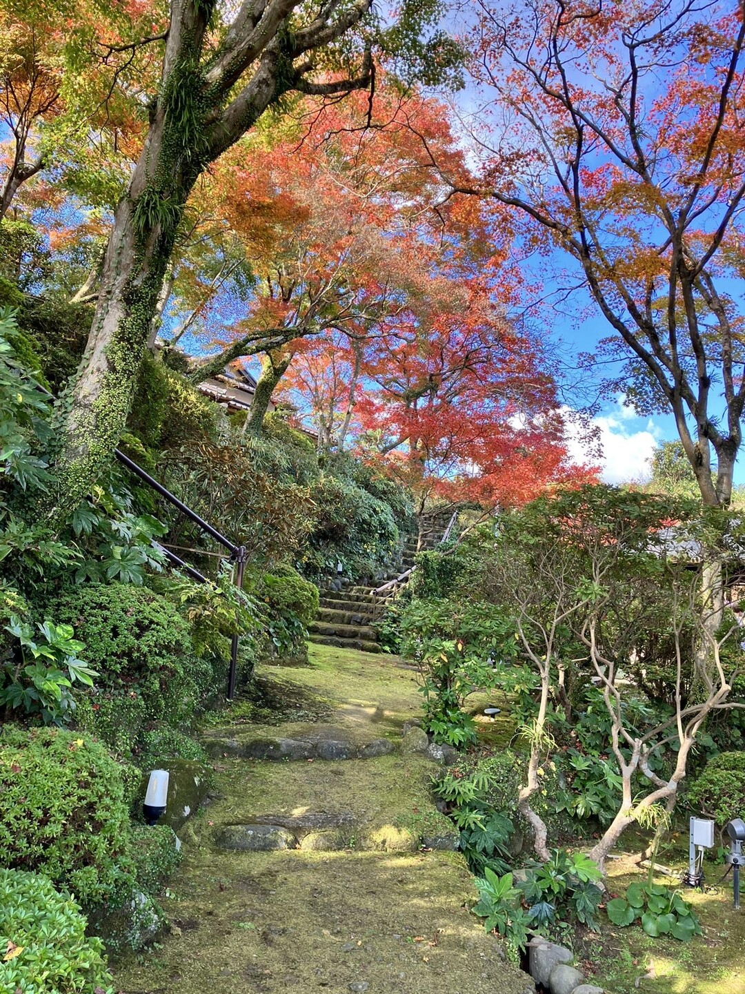 迎仙閣の紅葉 今日明日のみ解放してます！... / sakoさんのモーメント | YAMAP / ヤマップ