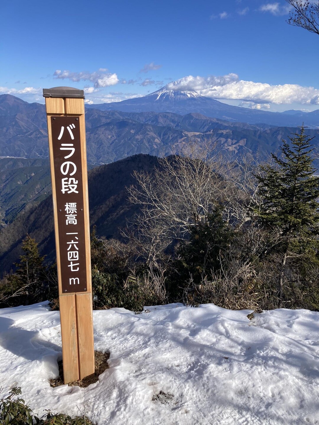 バラの段 / ELLYさんの七面山・身延山の活動データ | YAMAP / ヤマップ