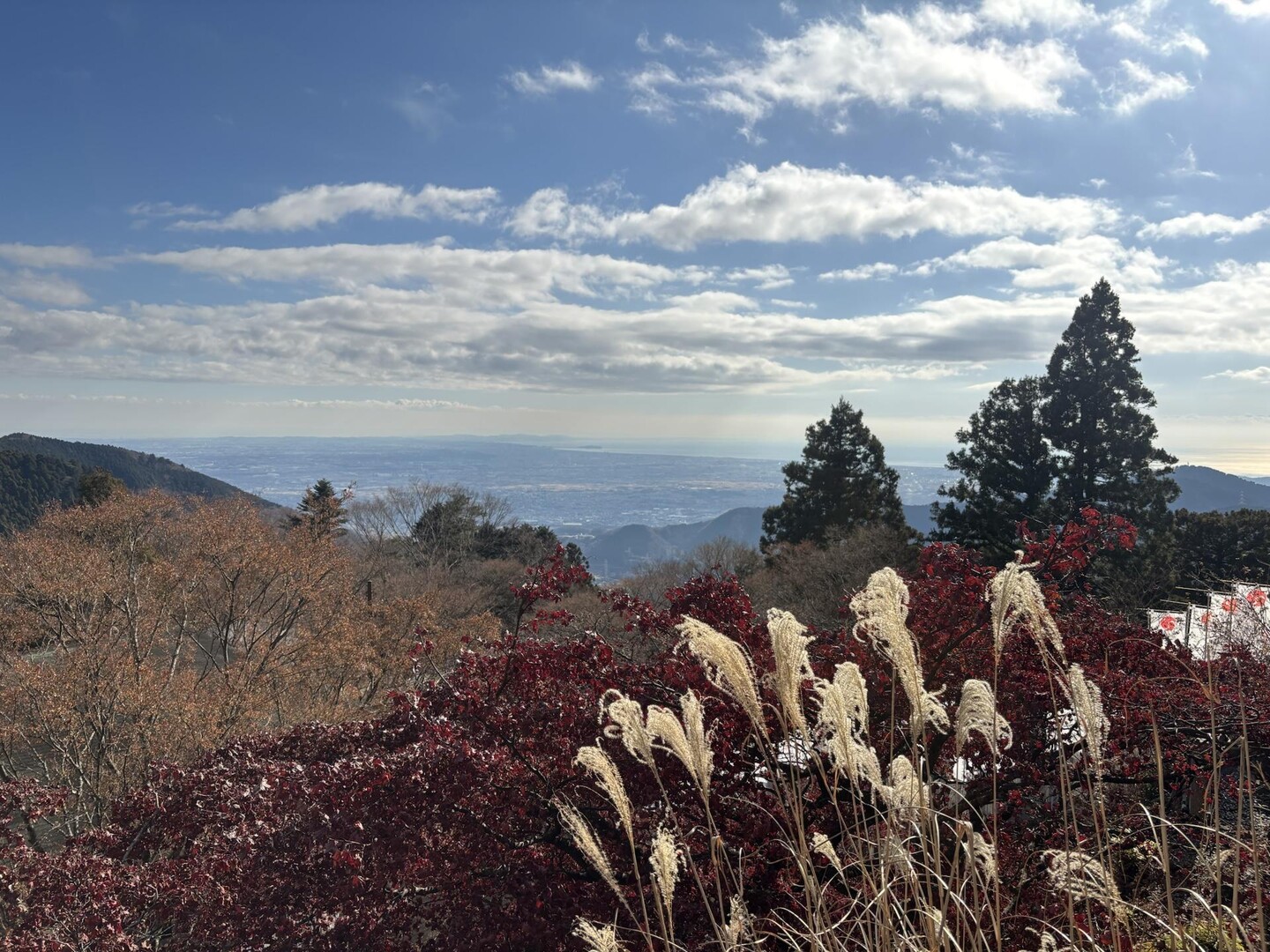 2025 初登山 / R.Matsさんの大山の活動データ | YAMAP / ヤマップ