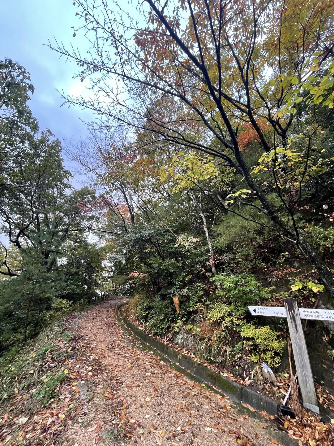冷たい雨☔️😨 天筒山 / miniさんの天筒山・中池見湿地の活動データ | YAMAP / ヤマップ