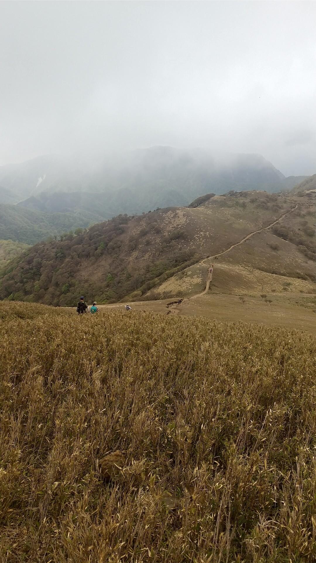 竜ヶ岳 / masajiさんの竜ヶ岳の活動データ | YAMAP / ヤマップ