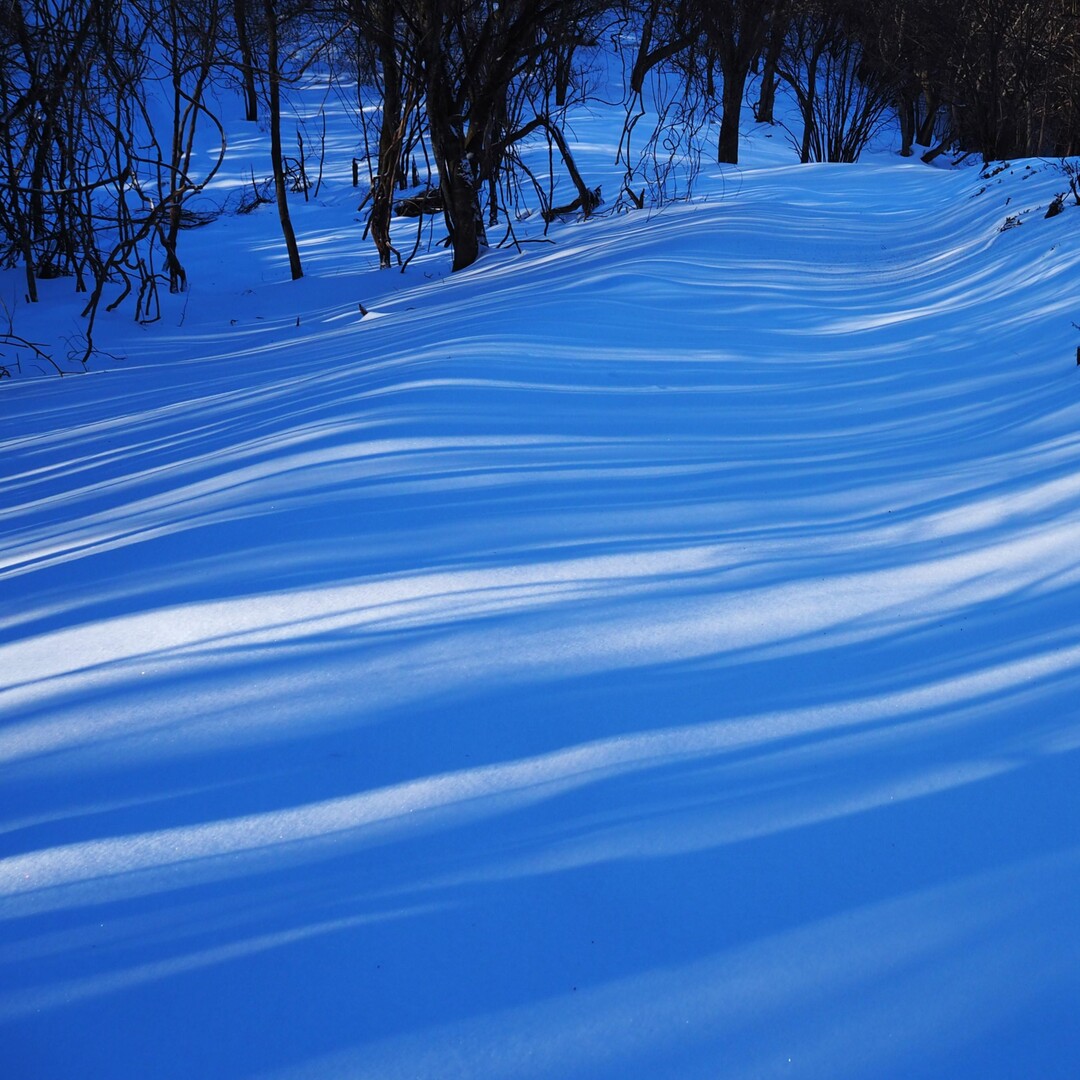 溶けないで欲しい 風呂塔の樹氷 / ta.hayaさんの矢筈山・黒笠山の活動データ | YAMAP / ヤマップ