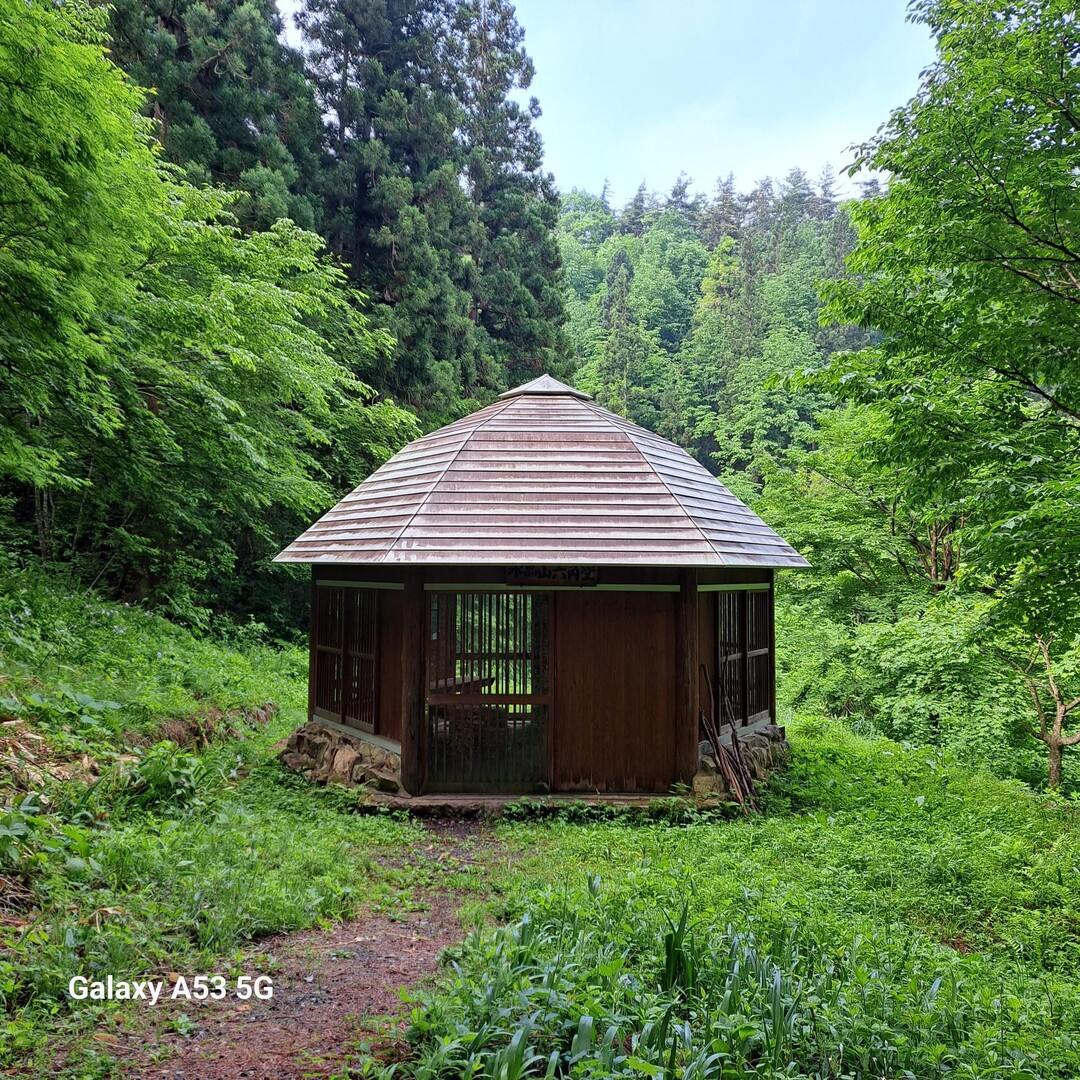水晶山からヒメサユリと日本一公園 / kco（ケーコ）さんの水晶山の活動データ | YAMAP / ヤマップ