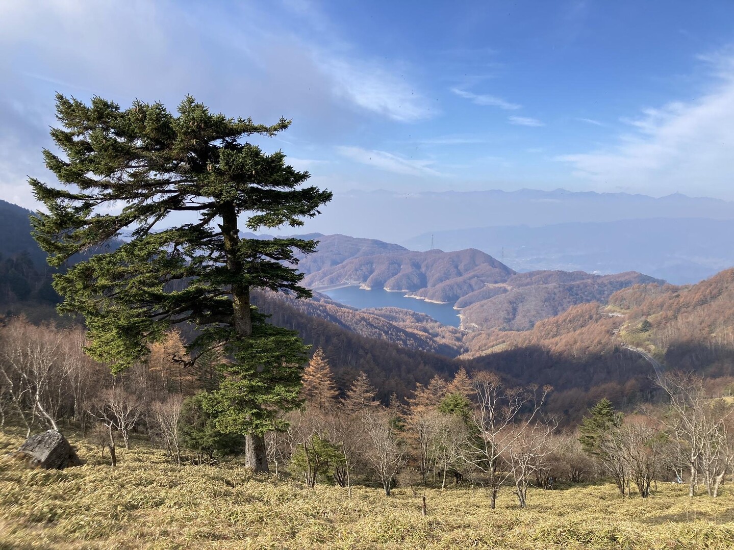 231105 甲州アルプス70k / kojikojiさんの甲州高尾山・宮宕山・源次郎岳の活動データ | YAMAP / ヤマップ