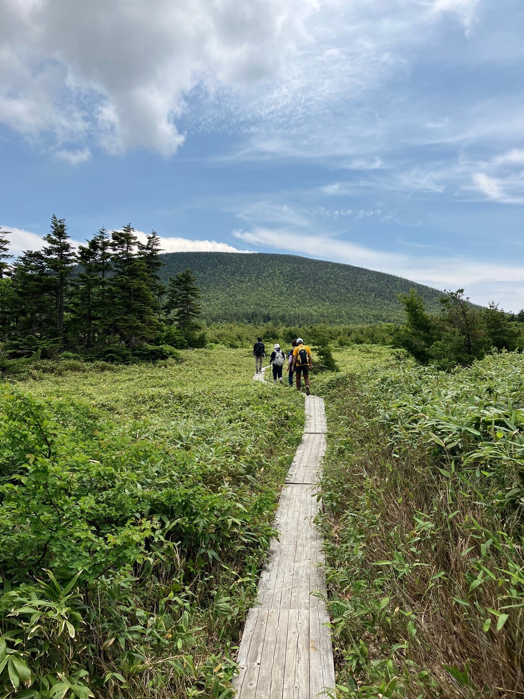 吾妻山の東西登頂その2 / 8Man.GTさんの吾妻山・一切経山の活動データ | YAMAP / ヤマップ