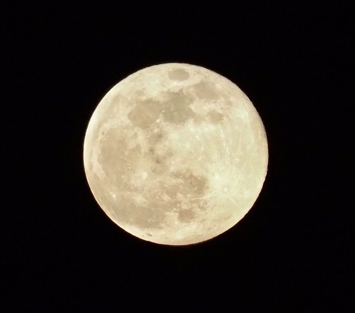 Pink Moon！ 4/27/202... / Archaeopteryxさんのモーメント | YAMAP / ヤマップ