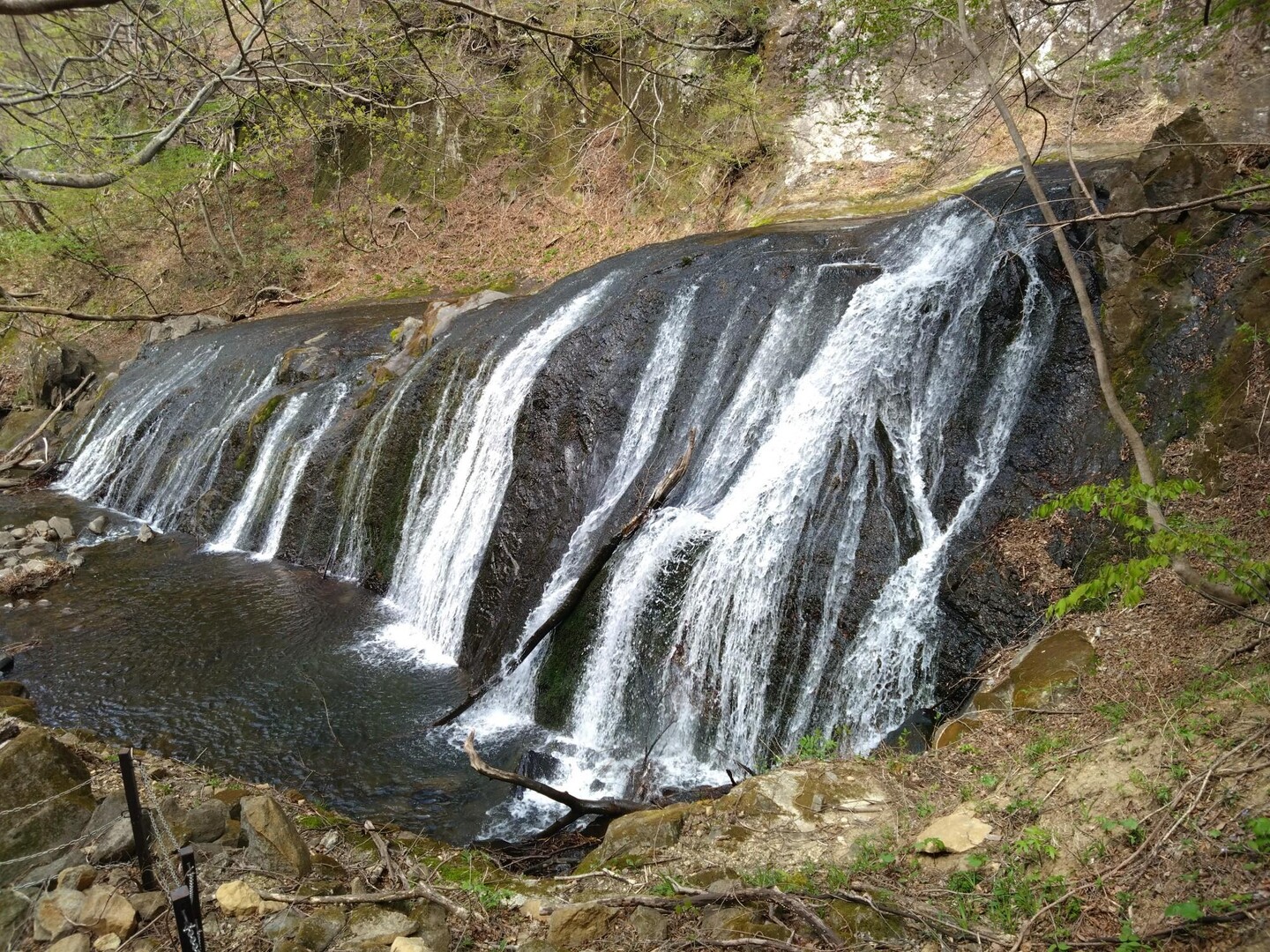 権太倉山 / kuru−ruさんの権太倉山の活動データ | YAMAP / ヤマップ