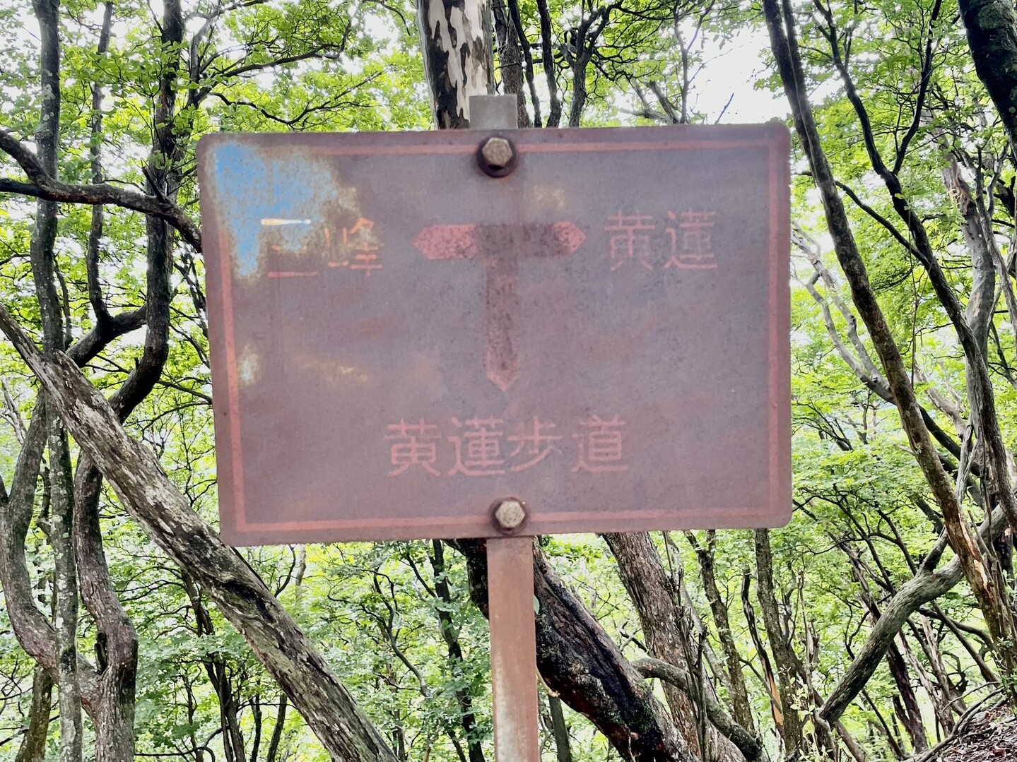 チキートさんの投稿したフィールドメモ | YAMAP / ヤマップ