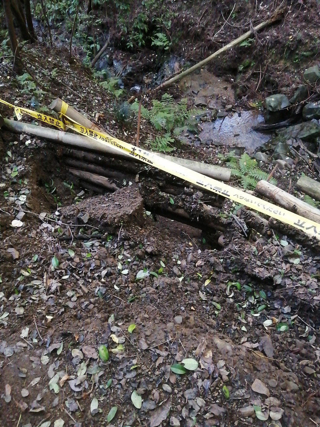 しろなんさんの投稿したフィールドメモ | YAMAP / ヤマップ