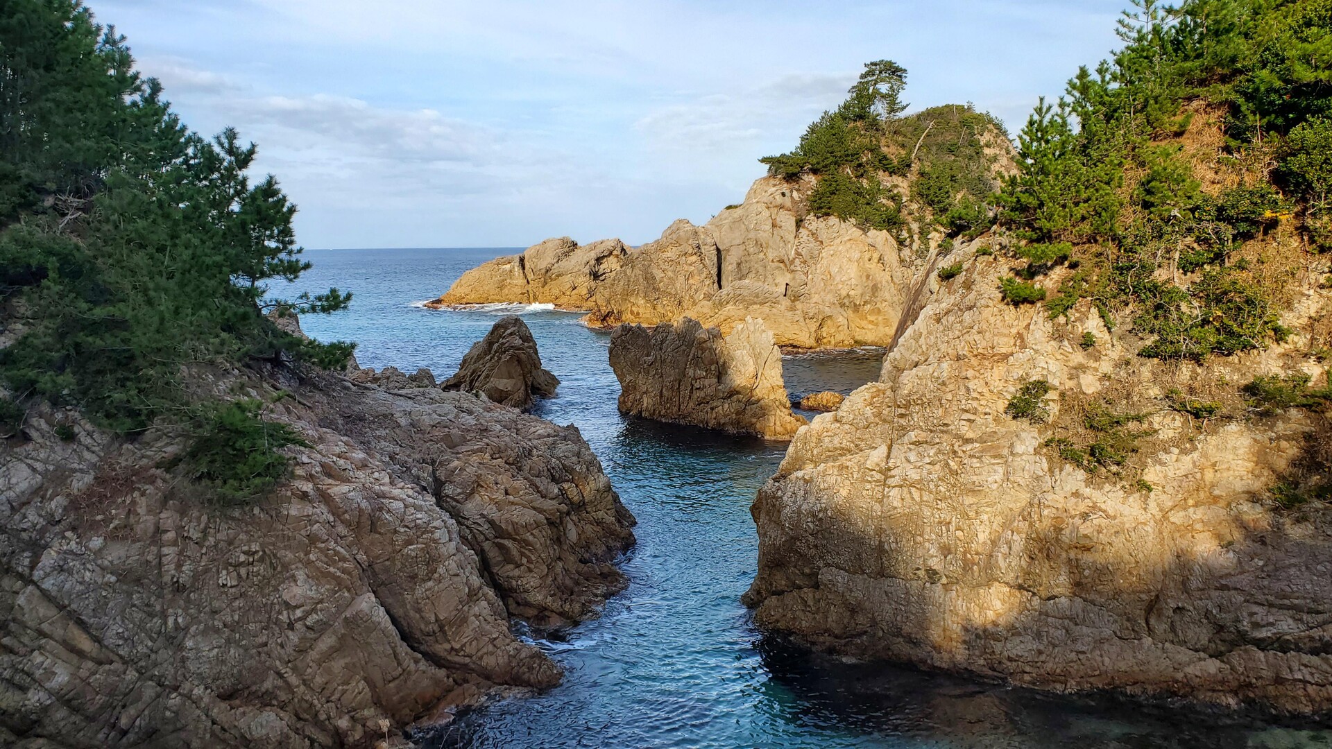 師走の浦富アルプス紀行 / ヨッシー1956さんの二上山の活動データ | YAMAP / ヤマップ