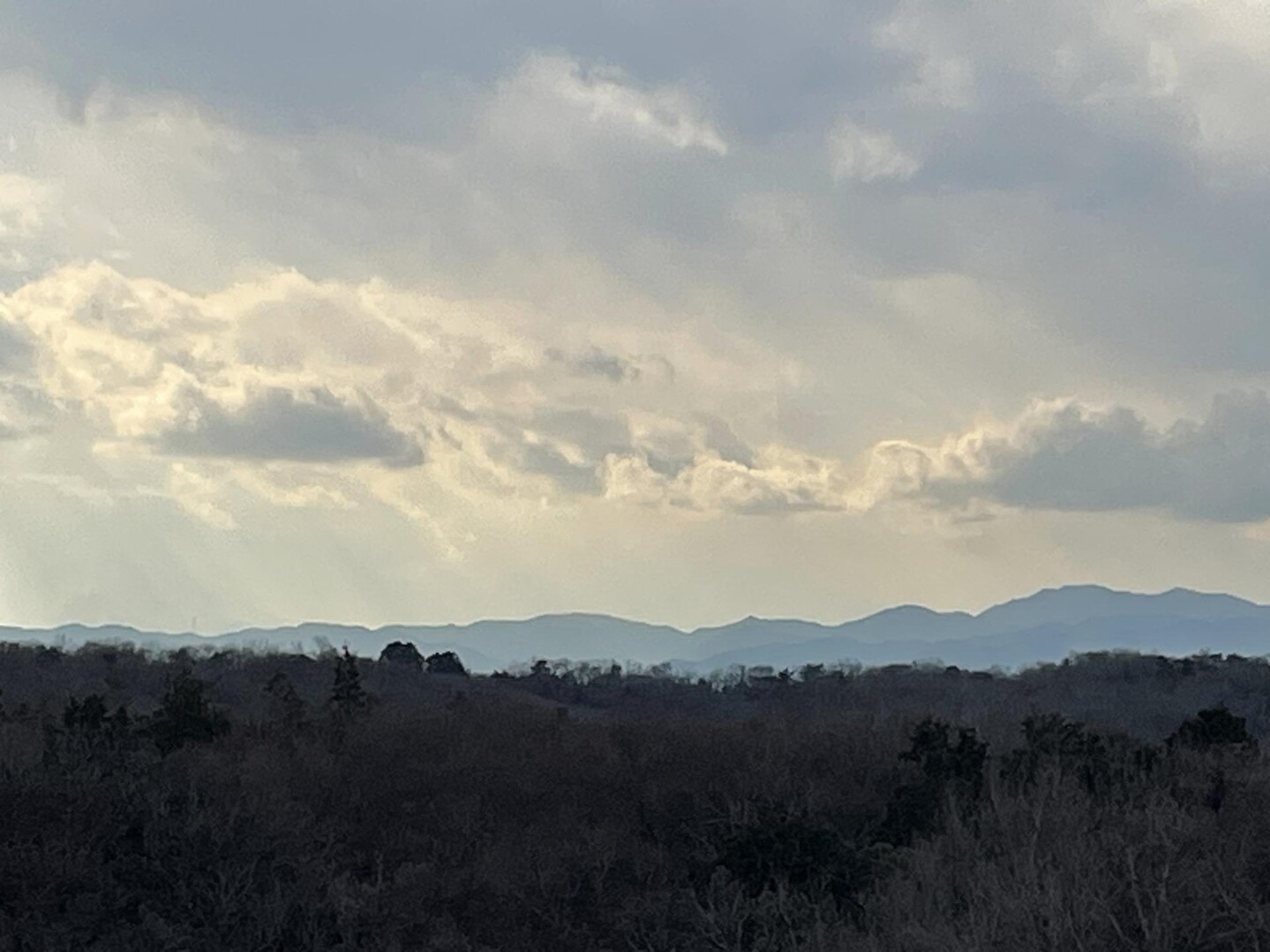 tsk-chaponさんの投稿したフィールドメモ | YAMAP / ヤマップ