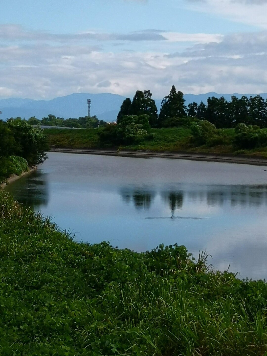 公園と荒神山 / yoyoさんの荒神山の活動データ | YAMAP / ヤマップ